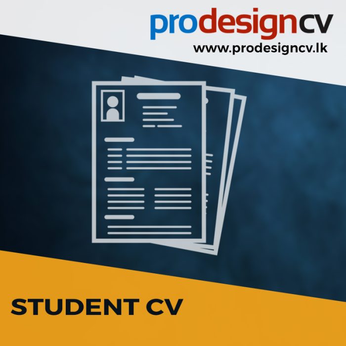 CV Format Packages | Pro Design CV